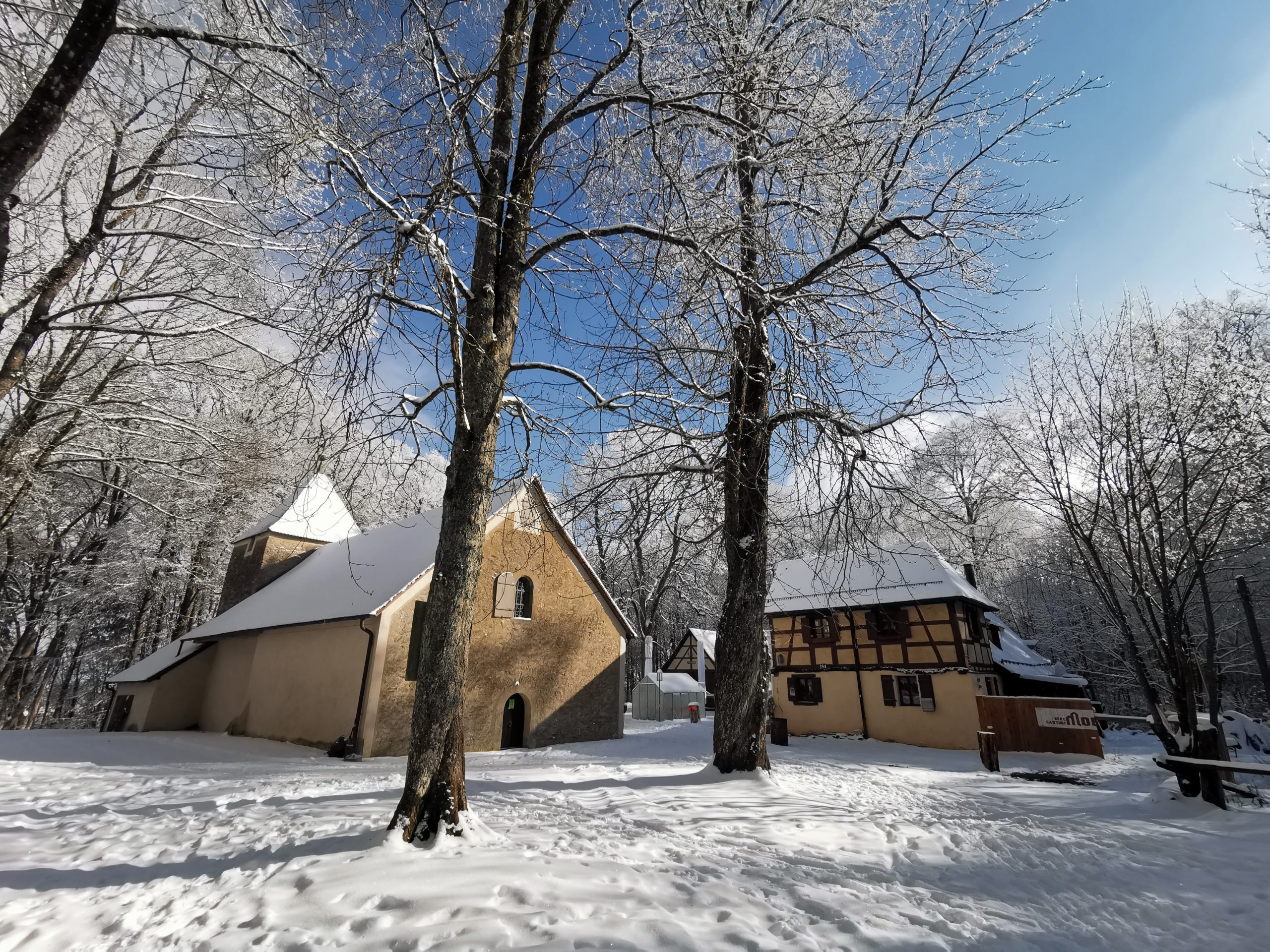 1.000 hm Trail-Runde am Moritzberg | by TrailAway